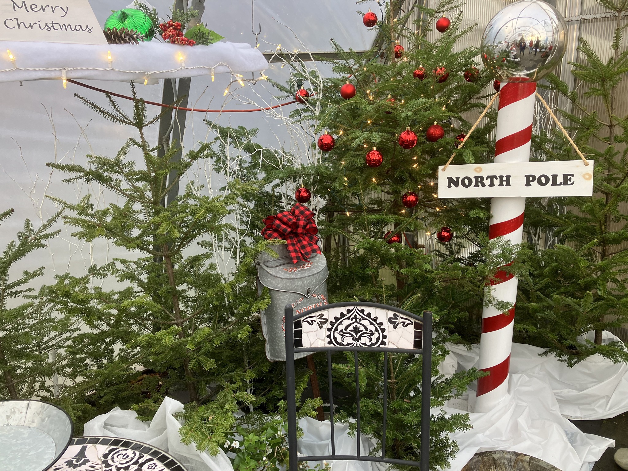 A Gardener’s Christmas Open House – Ouest Ville Perennials | Yarmouth ...